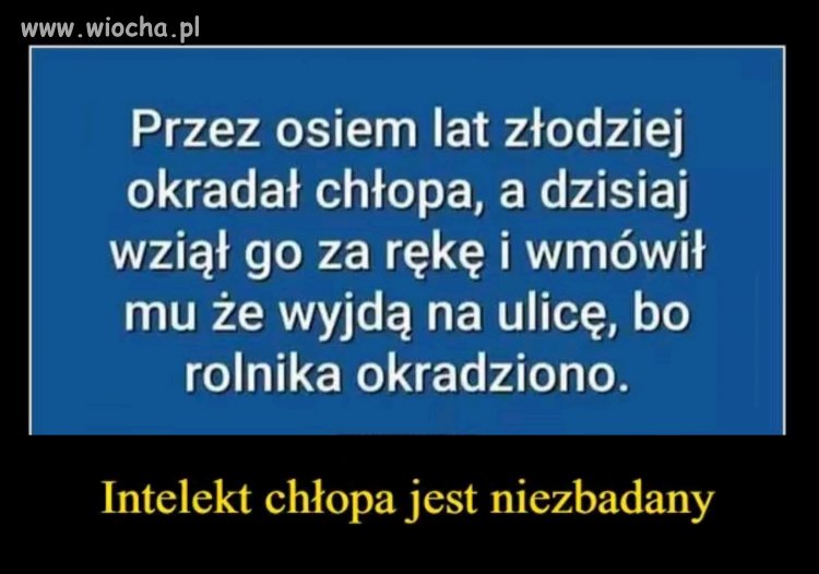 Dlatego jest chlopem... - wiocha.pl absurd 1851287