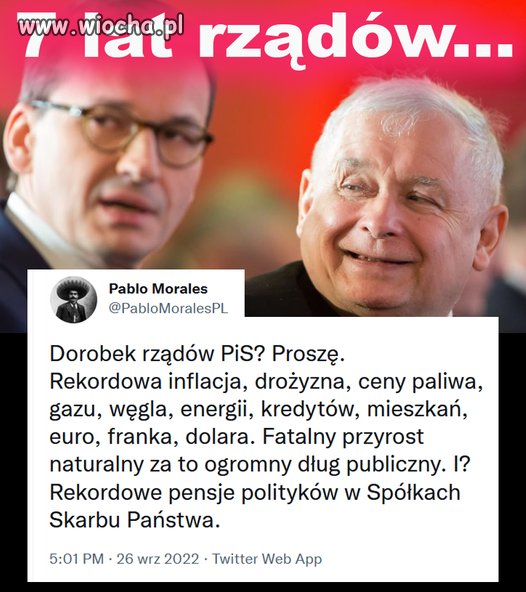 7 lat PIS w pigułce - wiocha.pl absurd 1732927