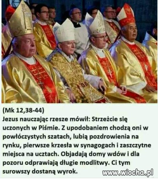 Strzeżcie się fałszywych proroków oraz... - wiocha.pl absurd 1734455
