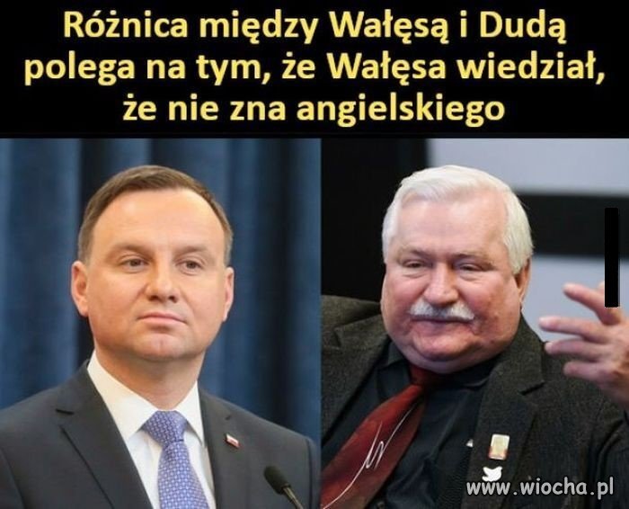 Wiocha.pl - Absurdy polskiego internetu: Nasza-Klasa, Facebook, Fotka ...
