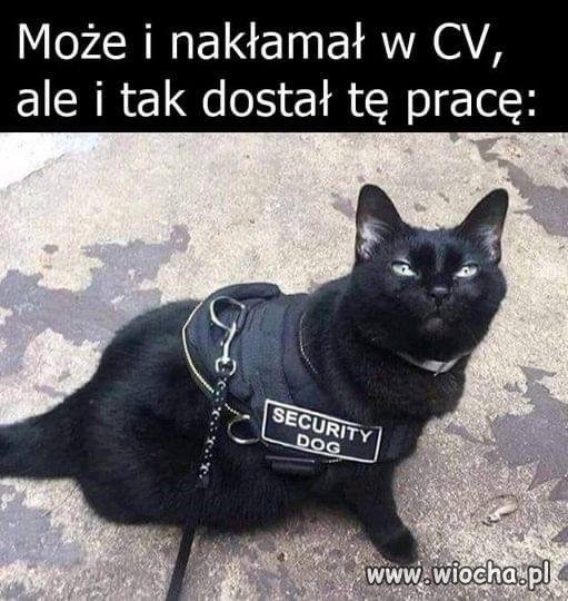 Wiocha.pl - Absurdy polskiego internetu: Nasza-Klasa, Facebook, Fotka ...