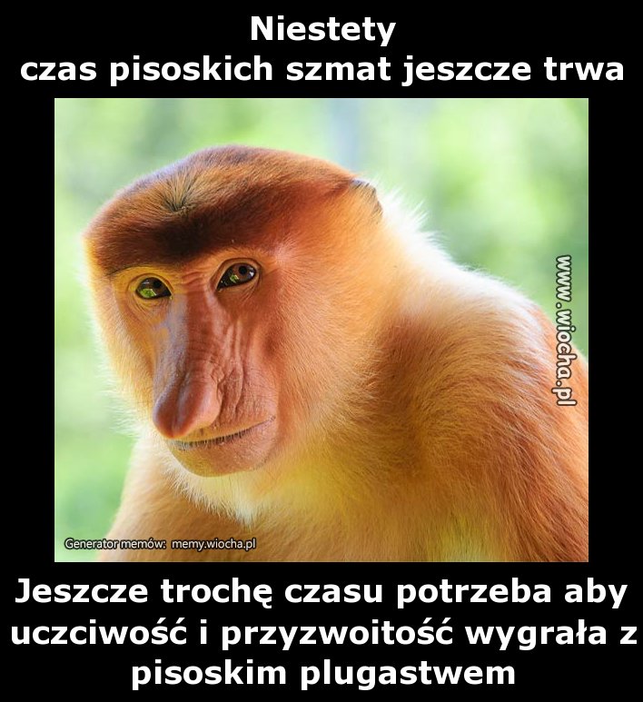 Wiocha.pl - Absurdy polskiego internetu: Nasza-Klasa, Facebook, Fotka ...