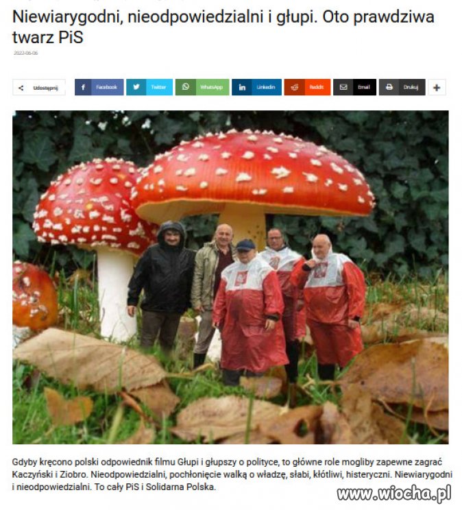 Glupi, glupszy i najglupszy, wszyscy zebrali sie w PiS! - wiocha.pl ... Glupi, glupszy i najglupszy, wszyscy zebrali sie w PiS! - wiocha.pl ...