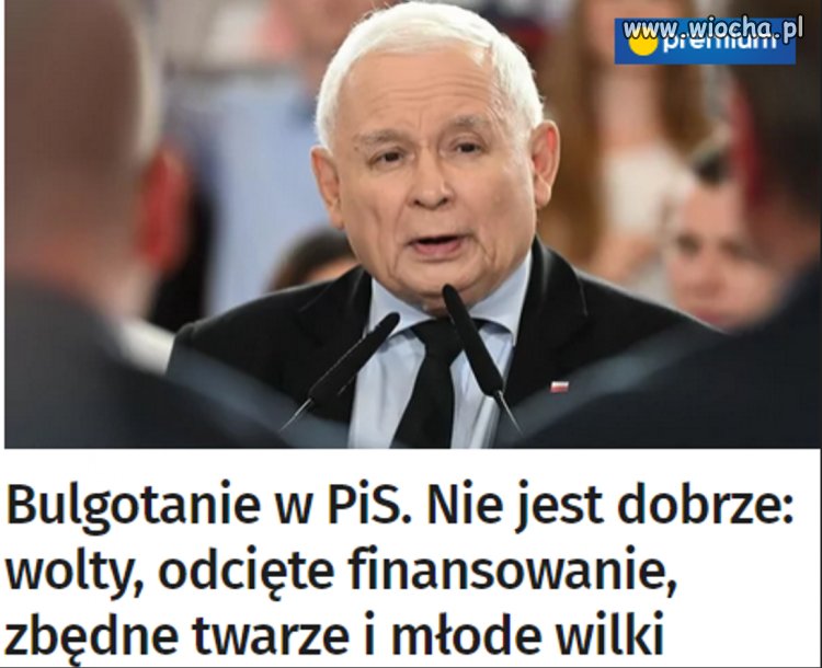 Wiocha.pl - Absurdy polskiego internetu: Nasza-Klasa, Facebook, Fotka ...