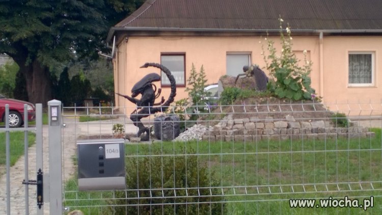 Wiocha.pl - Absurdy polskiego internetu: Nasza-Klasa, Facebook, Fotka ...