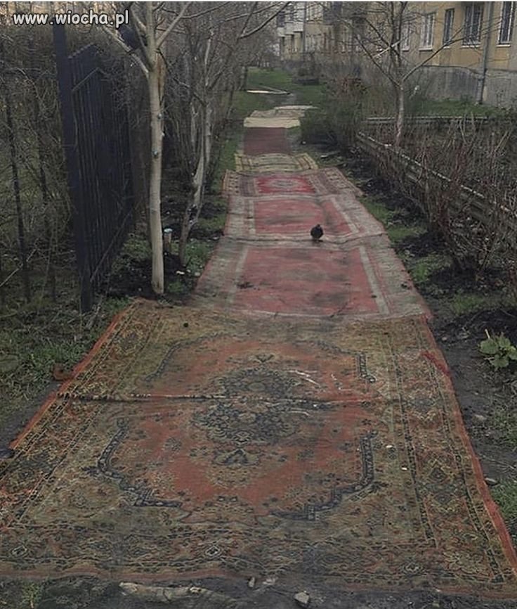 Wiocha.pl - Absurdy polskiego internetu: Nasza-Klasa, Facebook, Fotka ...