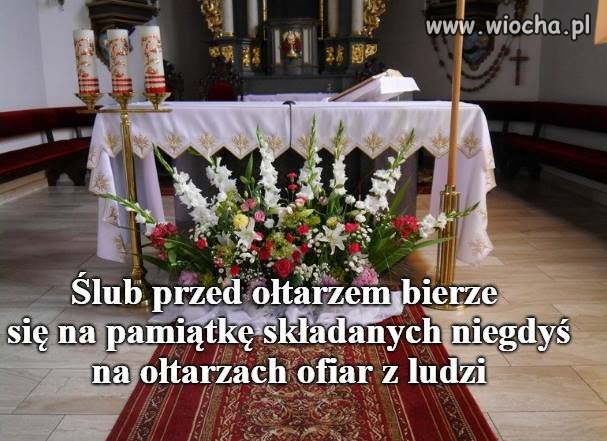 No to teraz - wiocha.pl absurd 1767548
