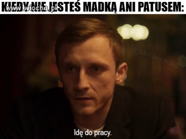 Patusy na socjalu - wiocha.pl absurd 1742517