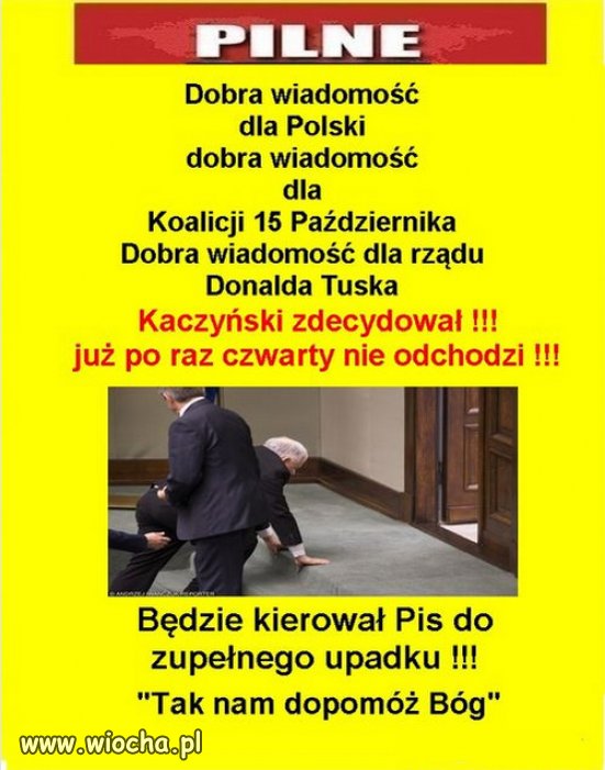 Wiocha.pl - Absurdy polskiego internetu: Nasza-Klasa, Facebook, Fotka ...