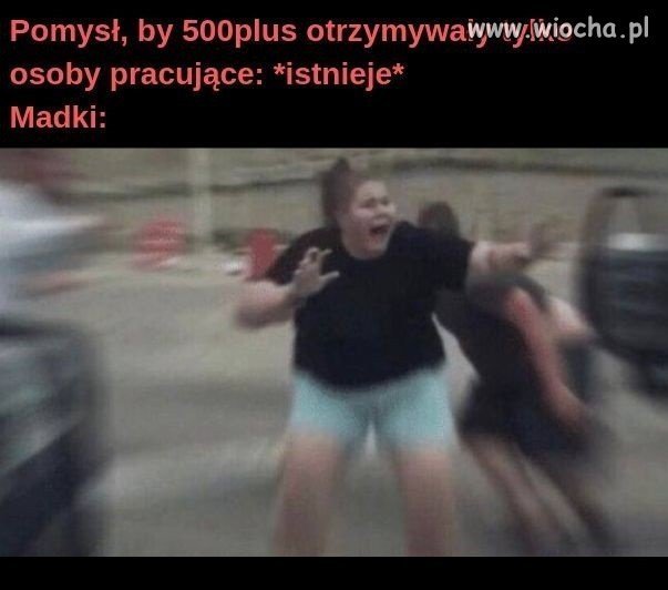 Wiocha.pl - Absurdy polskiego internetu: Nasza-Klasa, Facebook, Fotka ...