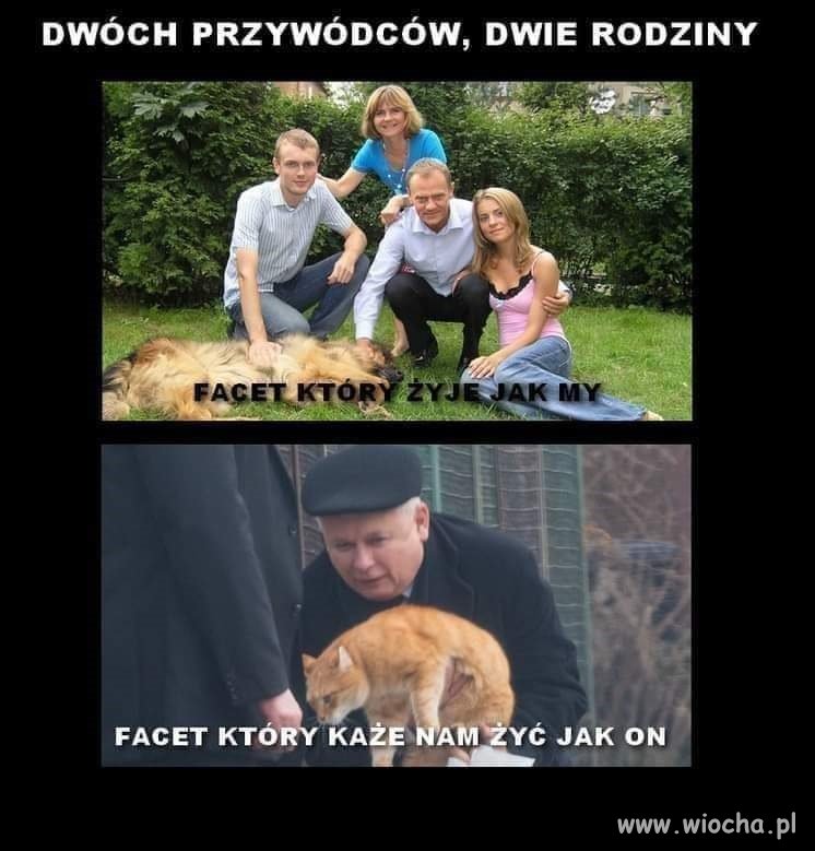 Potwierdzam - wiocha.pl absurd 1737749