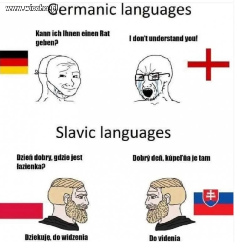 Normalnie to jest - wiocha.pl absurd 1850628