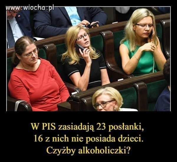 Pewnie tak - wiocha.pl absurd 1739027