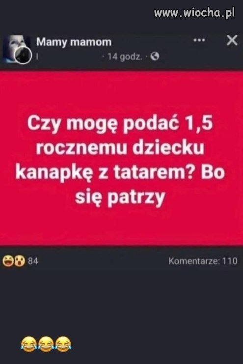 Madka Polka - wiocha.pl absurd 1790684