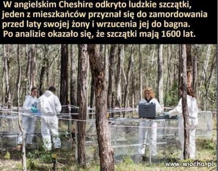 I Teraz Dopiero Wiocha Pl Absurd