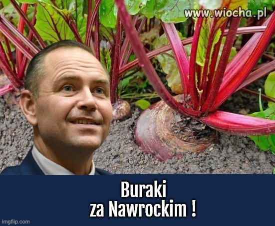 Tylko prawda - wiocha.pl absurd 1824055