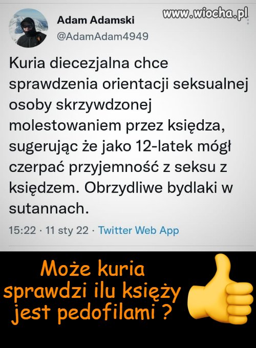 Pedofilski raj - wiocha.pl absurd 1705337