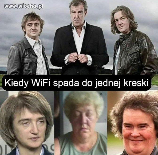 WiFi - wiocha.pl absurd 1750501