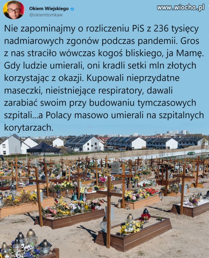 Wiocha.pl - Absurdy polskiego internetu: Nasza-Klasa, Facebook, Fotka ...