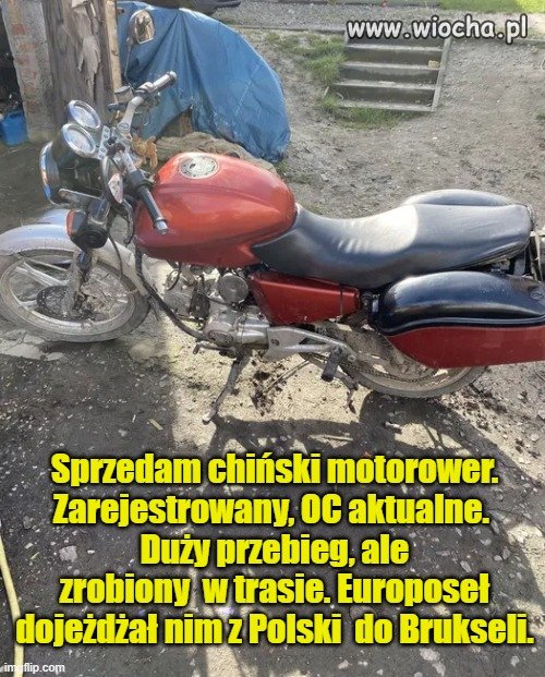 Wiocha.pl - Absurdy polskiego internetu: Nasza-Klasa, Facebook, Fotka ...