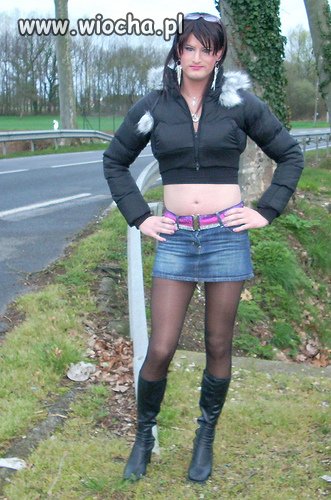 Zdjęcie przy drodze - wiocha.pl absurd 50646