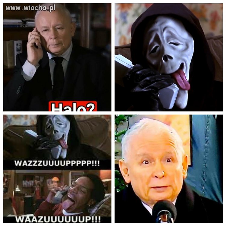 WAZZZUUUPPP!! - wiocha.pl absurd 1769752