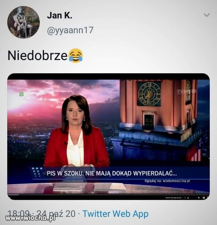 Do San Escobar - wiocha.pl absurd 1647130