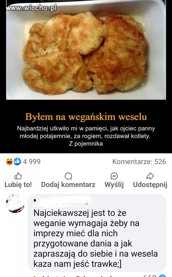 Wiocha.pl - Absurdy polskiego internetu: Nasza-Klasa, Facebook, Fotka ...
