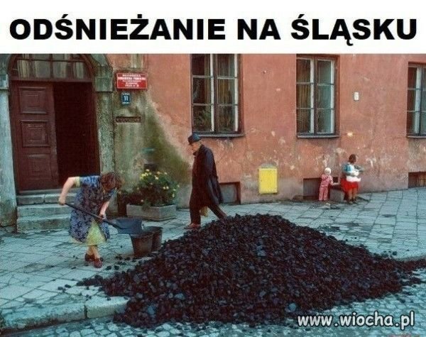 Odśnieżanie w Sosnowcu. - wiocha.pl absurd 1814997