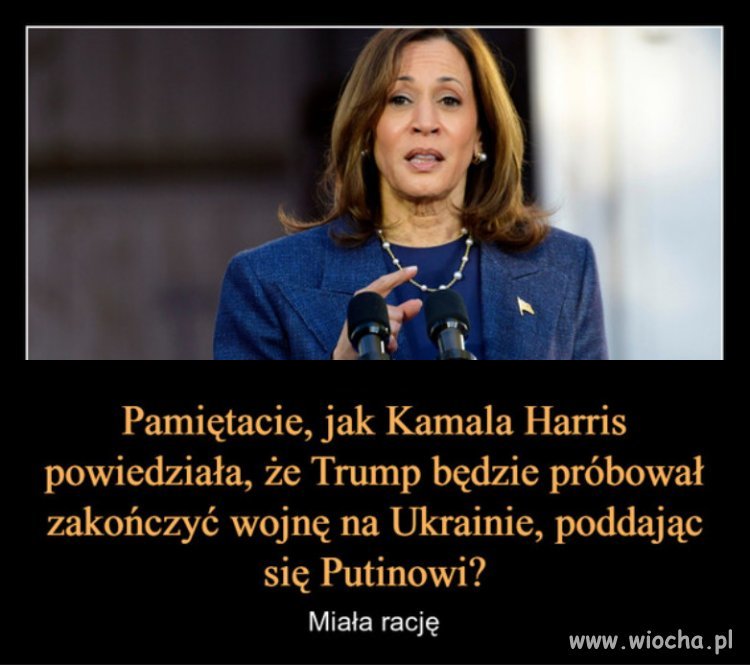 Wiocha.pl - Absurdy polskiego internetu: Nasza-Klasa, Facebook, Fotka ...