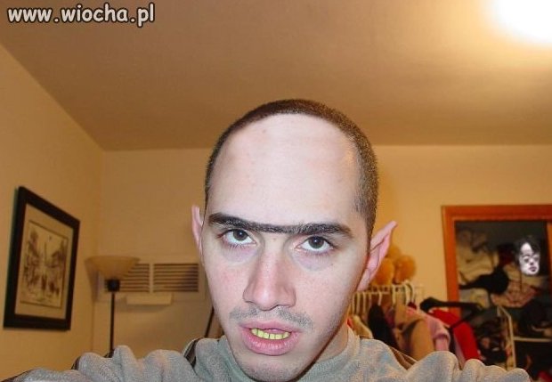 Monobrew - wiocha.pl absurd 688778