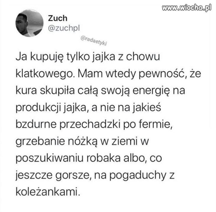 Coś w tym jest - wiocha.pl absurd 1643066