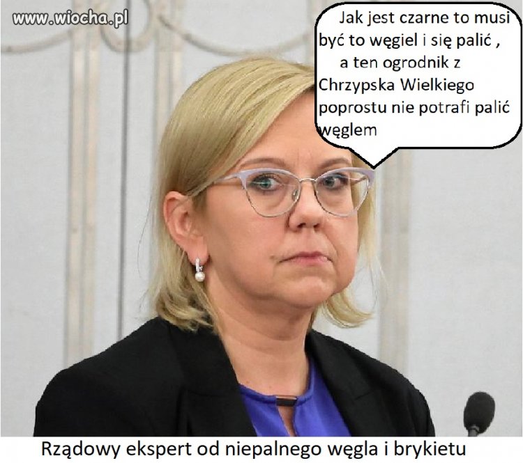 Ekspert od węgla - wiocha.pl absurd 1735672