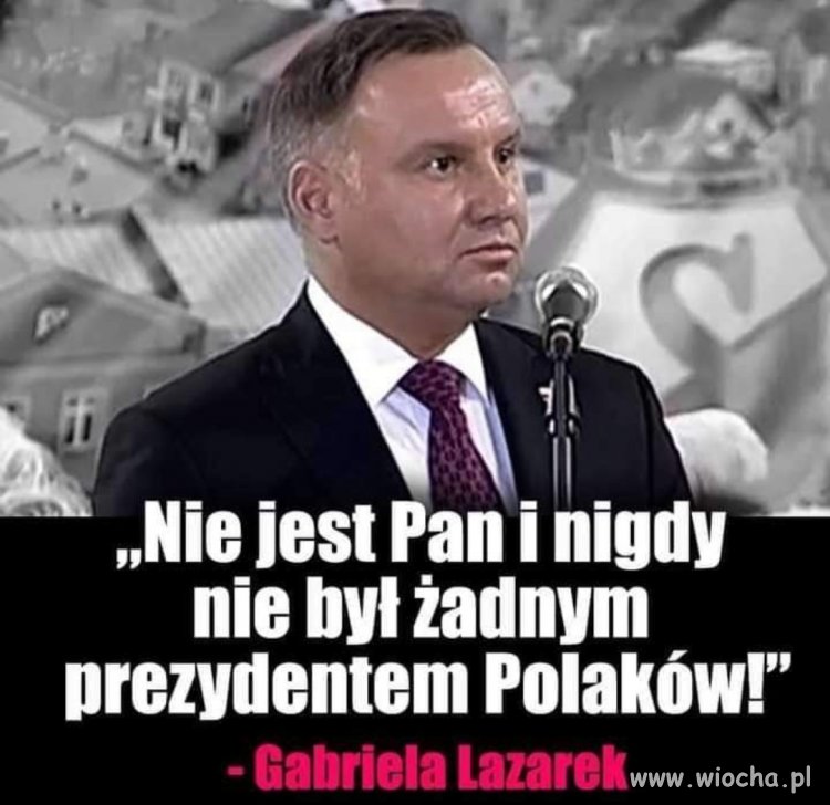 Moimi nigdy nie był, nie jest i nigdy, pajac, nie będzie - wiocha.pl absurd 1768818