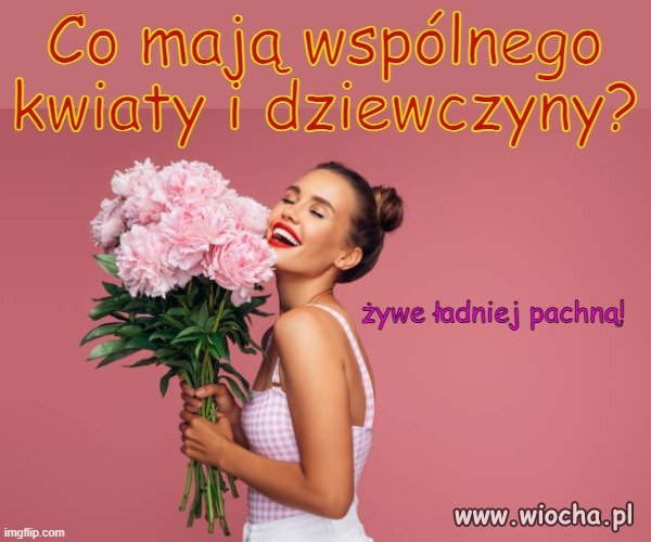 Chociaż xiądz twierdzi, że relikwie świętych - wiocha.pl absurd 1777992