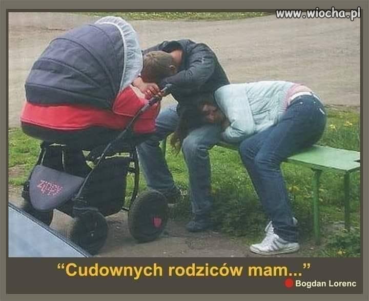 Cudownych rodziców mam - wiocha.pl absurd 1787431