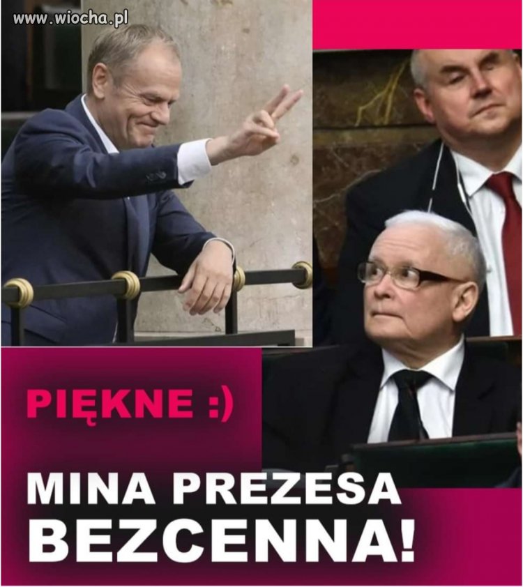 Buahahaha Buahahaha - wiocha.pl absurd 1775883