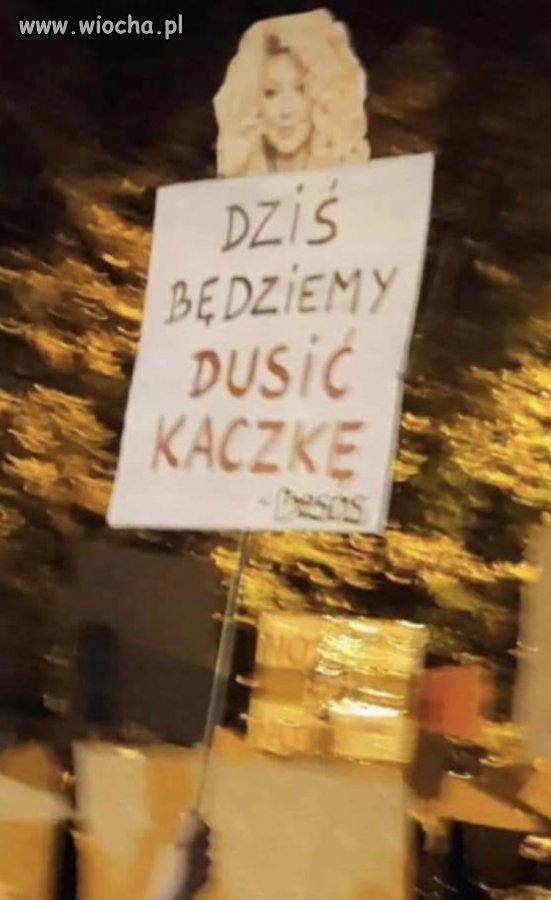Duszona kaczka - wiocha.pl absurd 1660838 Duszona kaczka - wiocha.pl absurd 1660838