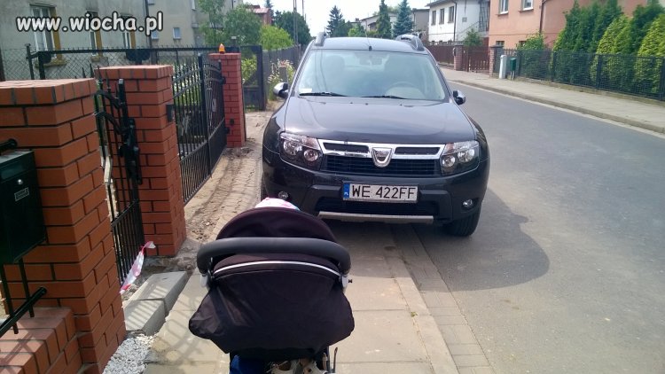 Wiocha do kwadratu - wiocha.pl absurd 1241510