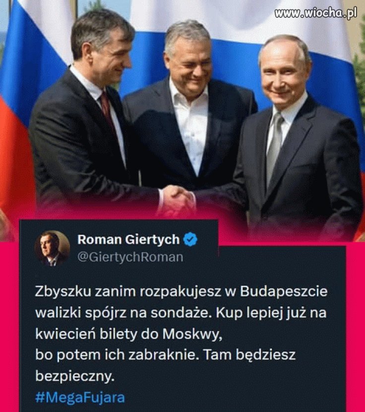 Roman jak zawsze celnie - wiocha.pl absurd 1852439