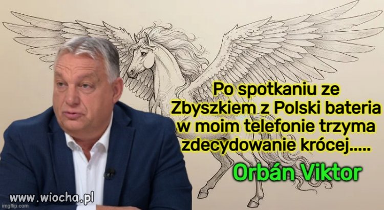 Dowcip, który od kilku dni - wiocha.pl absurd 1846842