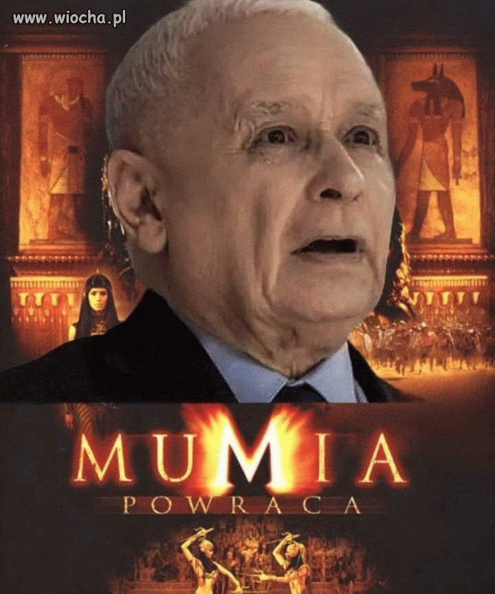 100% - wiocha.pl absurd 1762530