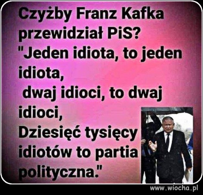 Wiocha.pl - Absurdy polskiego internetu: Nasza-Klasa, Facebook, Fotka ...