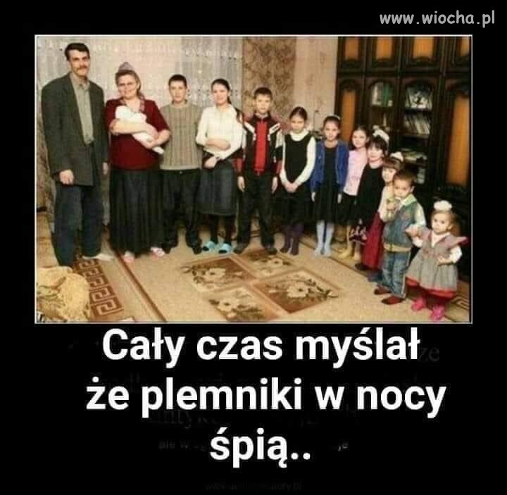 Wiocha.pl - Absurdy polskiego internetu: Nasza-Klasa, Facebook, Fotka ...