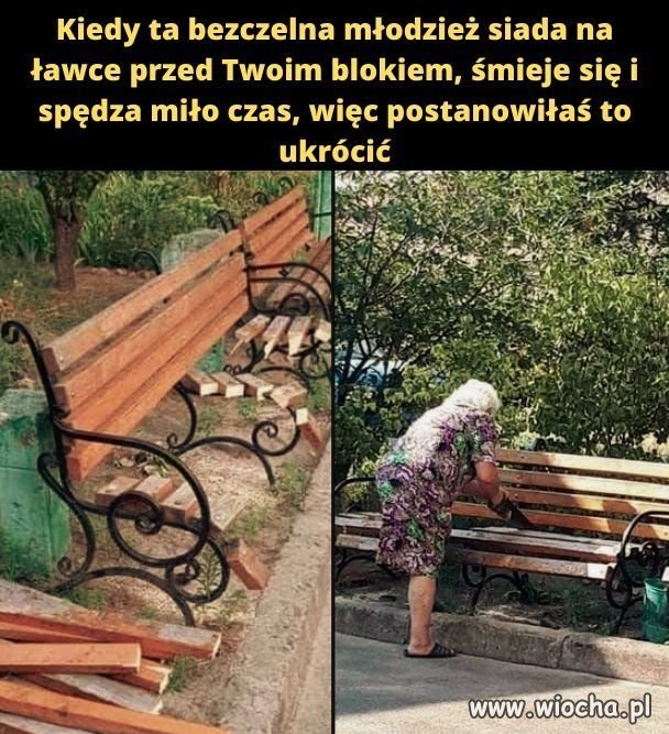 Wszystkie absurdy użytkownika acer326 - Strona 16 - Wiocha.pl