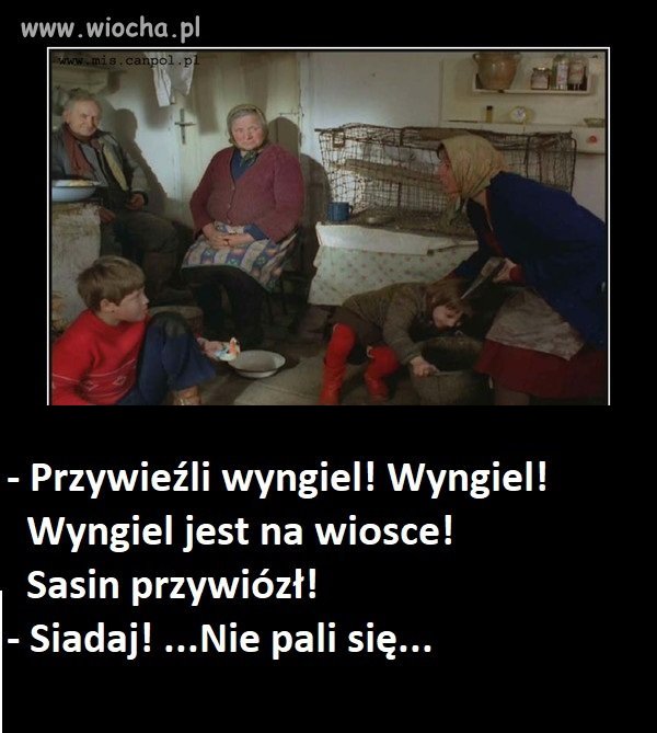 Bareja by lepiej tego nie wymyślił - wiocha.pl absurd 1738314