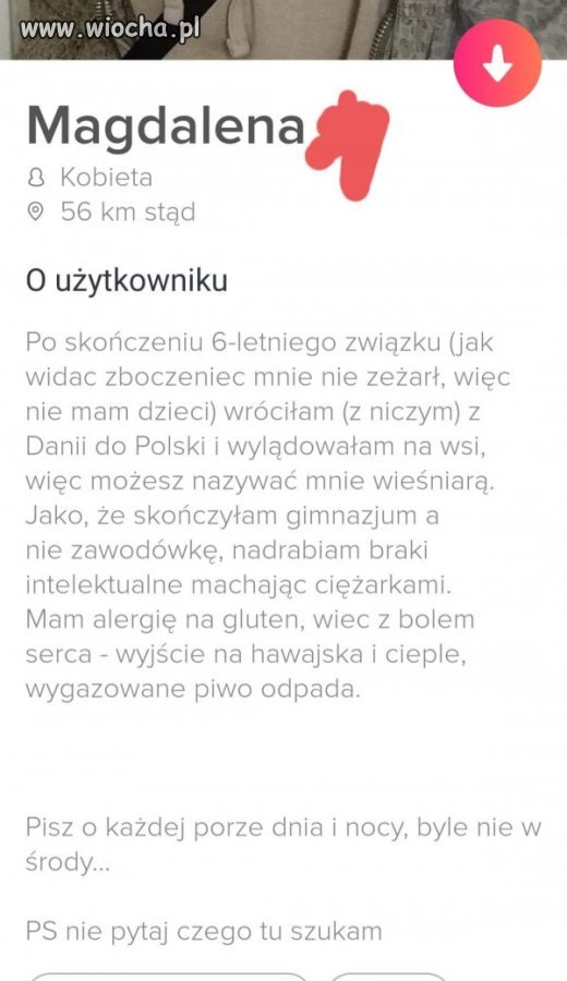 Czy to nie przypadek że braki intelektualne - wiocha.pl absurd 1741646