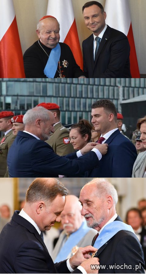 Najwybitniejsze umysły zasłużone dla kraju - wiocha.pl absurd 1732996