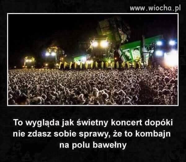 Najlepsza impreza która wcale nią nie jest - wiocha.pl absurd 1850815