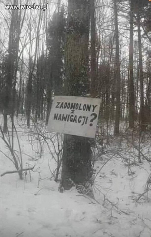 Ciekawe, jaki był cel podróży - wiocha.pl absurd 1778854